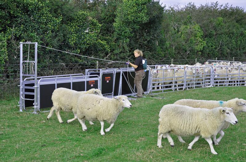 Rappa Compact Yards – 01786 841 373 / 07967 416 973